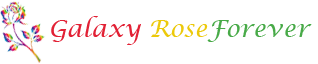 Galaxy Rose | 24K & Enchanted Galaxy Roses - 50% OFF